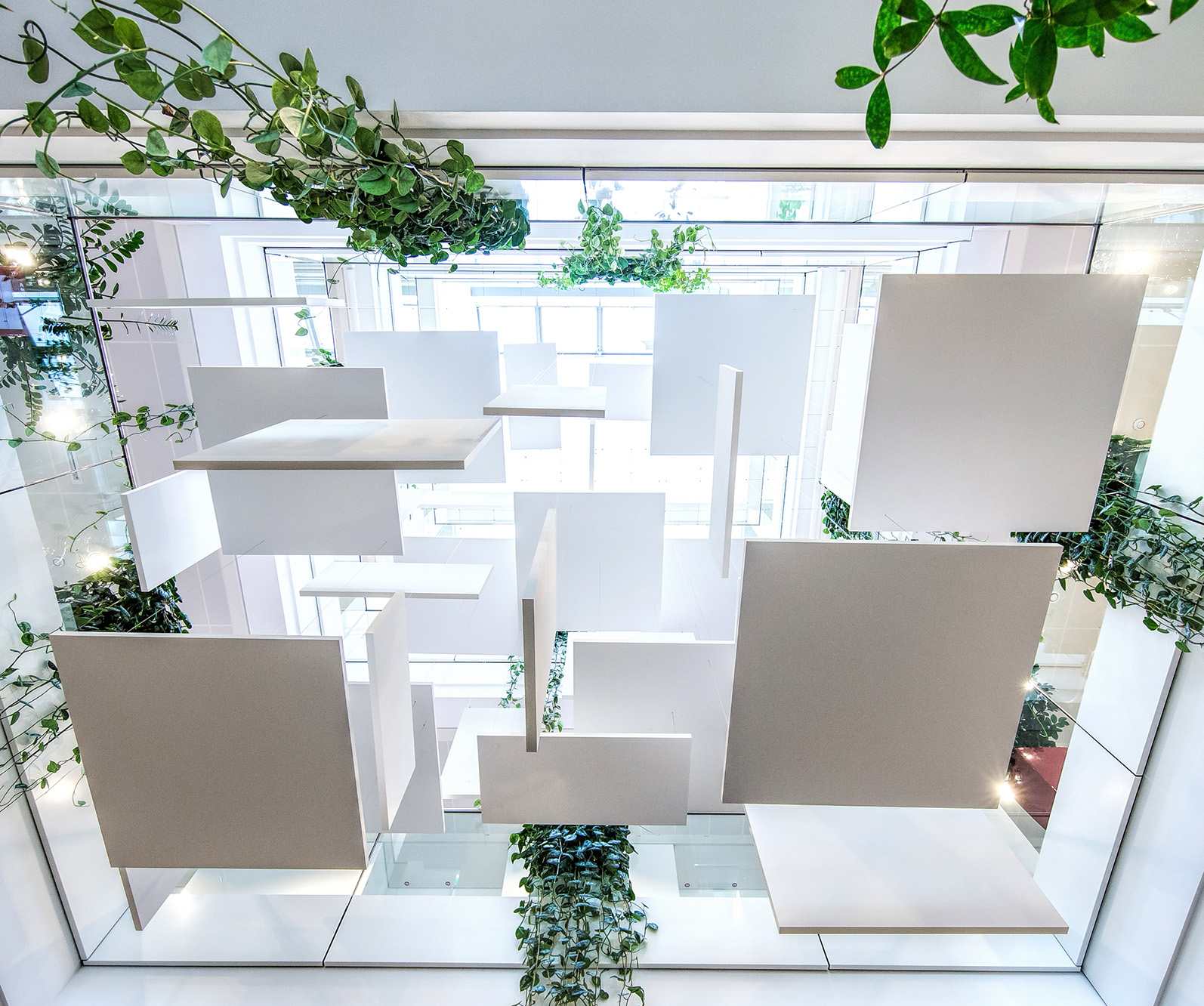 Ecophon Solo™ | Acoustic panels & baffles | Ecophon