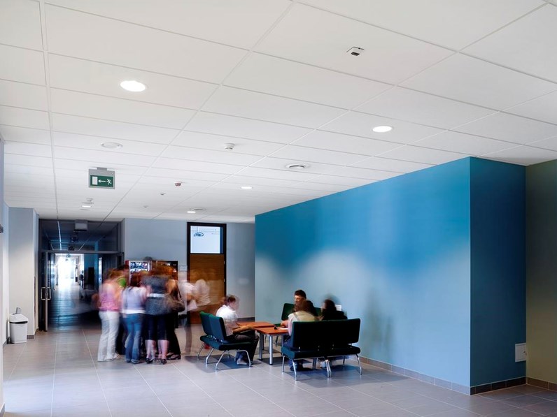 Ecophon Master Acoustic Ceiling Baffles | Shelly Lighting